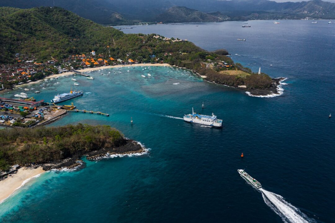 AAA Report Highlights Promising Future for Cruises by 2026 - Cover Page ...